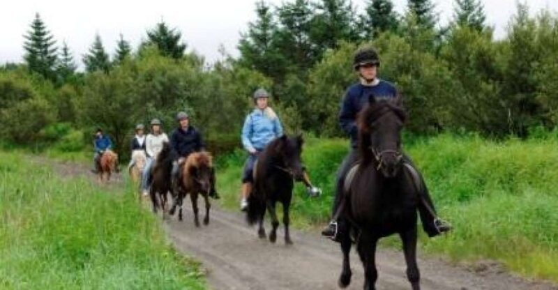 From Reykjavik: Full-Day Horse Riding & Golden Circle Tour - Introduction