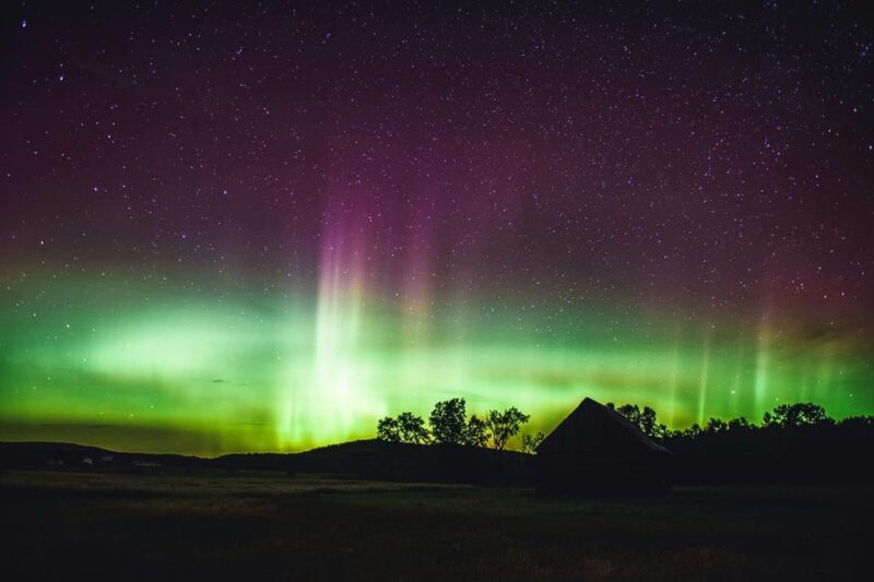 From Reykjavik: Golden Circle, Blue Lagoon & Northern Lights - Who Should Consider This Tour?