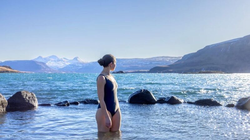 From Reykjavík: Golden Circle Route & Hvammsvik Hot Spring - Kerið Volcanic Crater