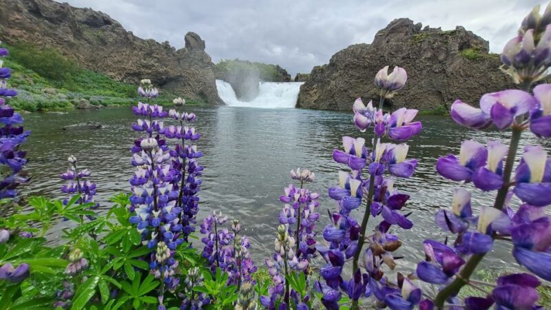 From Reykjavik: Highlands Jeep Tour & Landmannalaugar Hike - Practical Tips for Choosing This Tour