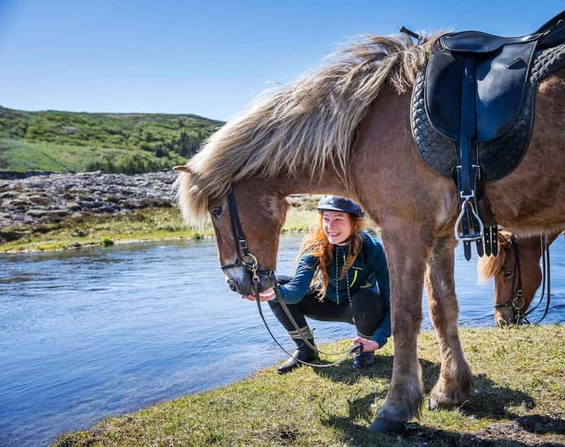 From Reykjavík: Icelandic Horse Riding Tour in Lava Fields - The Itinerary in Detail
