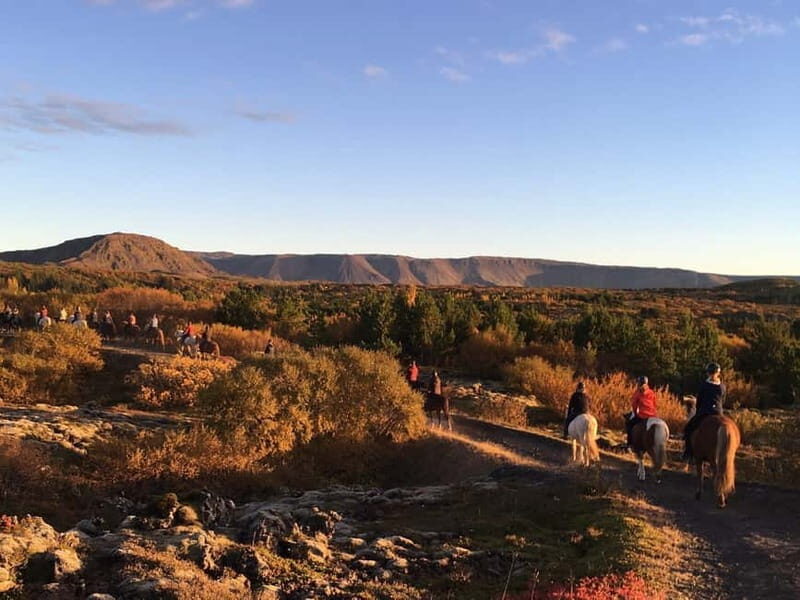 From Reykjavík: Icelandic Horse Riding Tour in Lava Fields - The Value of the Experience