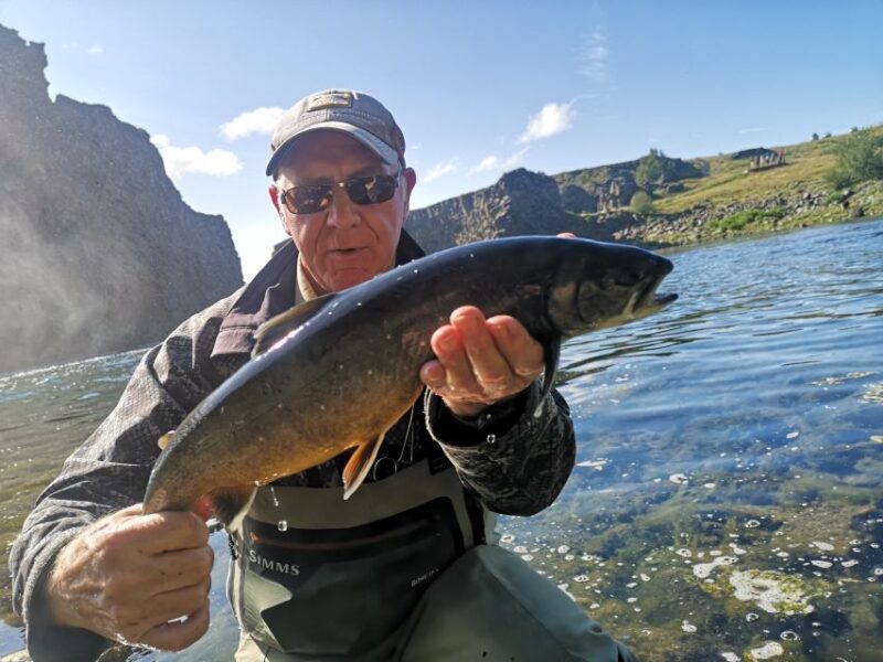 From Reykjavik: Lake and River Fishing Tour - Introducing the Experience