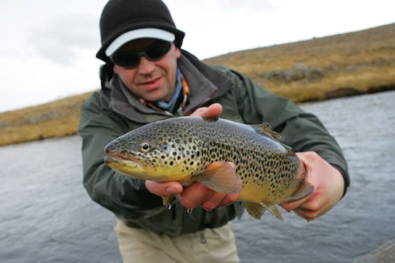From Reykjavik: Lake and River Fishing Tour - The Practical Details & What it Means for You