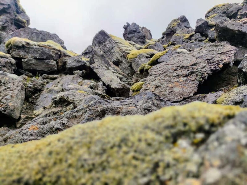 From Reykjavik: Landmannalaugar Private Tour with Transfer - FAQ