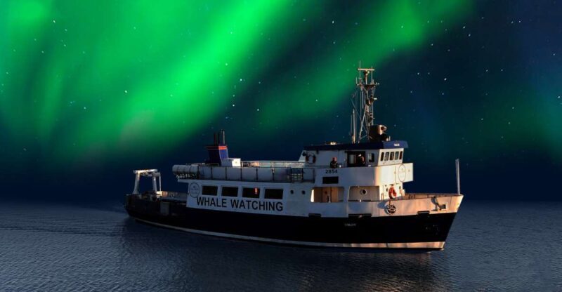 From Reykjavik: Northern Lights Sightseeing Cruise - Discovering a Different View of the Northern Lights