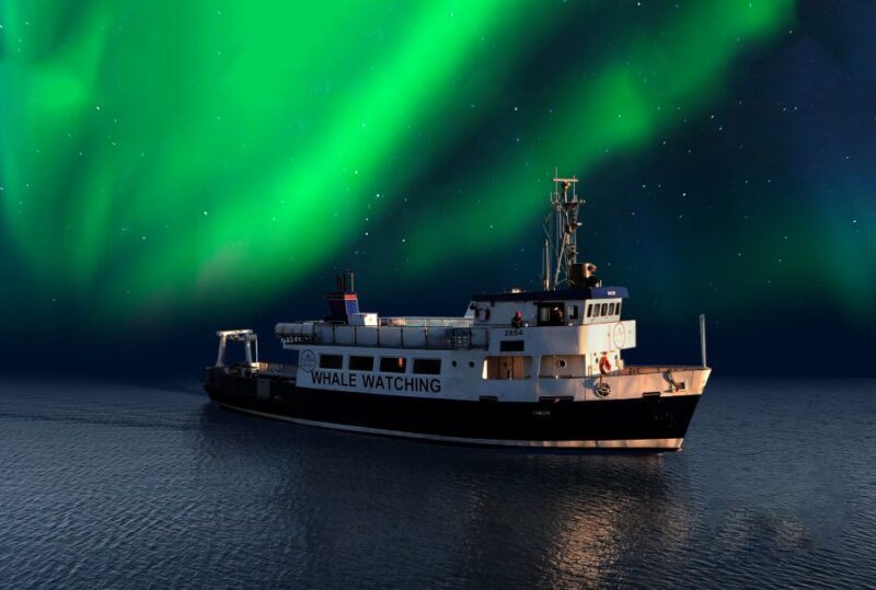From Reykjavik: Northern Lights Sightseeing Cruise - Itinerary and Experience Breakdown