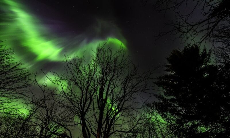 From Reykjavik: Northern Lights Tour with Lifetime Guarantee - The Journey Through the Night Sky