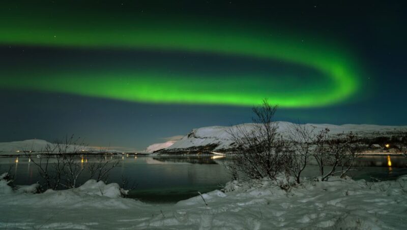 From Reykjavik: Northern Lights Tour with Lifetime Guarantee - Who Should Book This Tour?