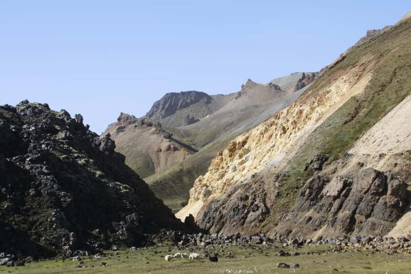From Reykjavik: Private Landmannalaugar Day Trip - Evaluating the Value