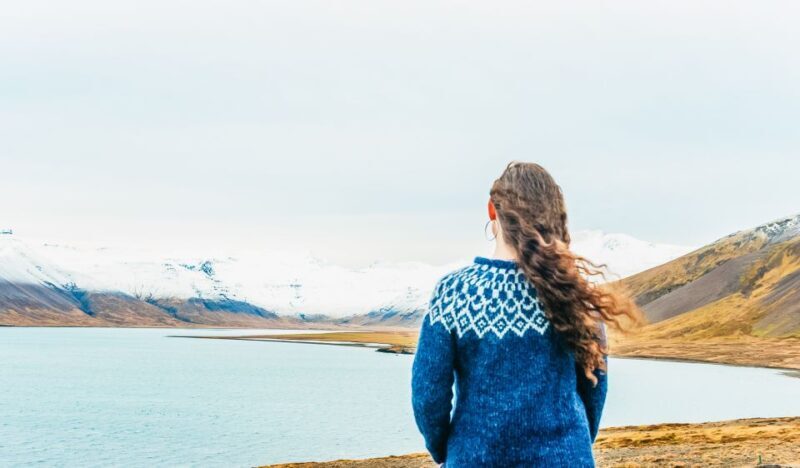 From Reykjavik: Snæfellsnes Full-Day Tour with Homemade Meal - Who Should Consider Taking This Tour?