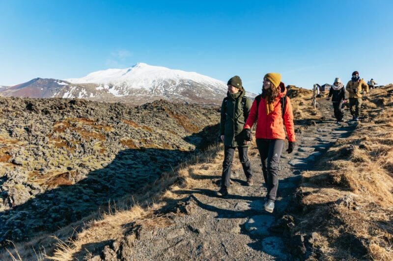 From Reykjavik: Snæfellsnes Peninsula Full-Day Tour - Key Points