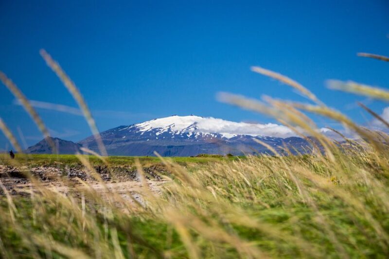 From Reykjavik: Snaefellsnes - Small Group, Lunch Included - Why This Tour Is Perfect for You