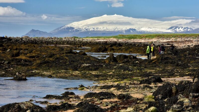 From Reykjavik: Snaefellsnes - Small Group, Lunch Included - Final Thoughts: Who Should Consider This Tour