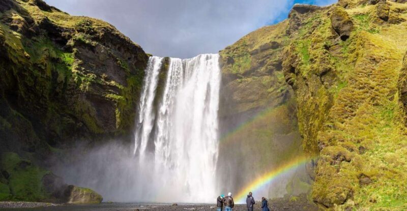 From Reykjavik: South Coast Tour & DC-3 Plane Wreck - A Deep Dive into the Experience