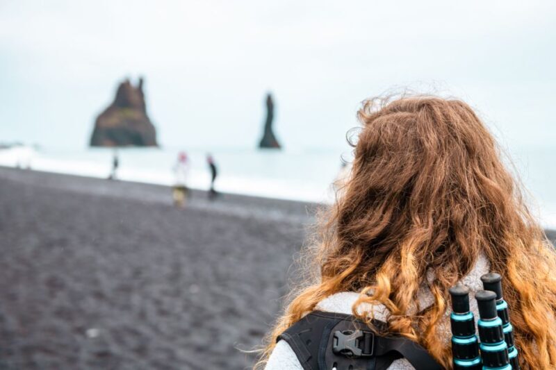 From Reykjavík: South Coast Waterfall, Black Sand & Ice tour - Final Thoughts