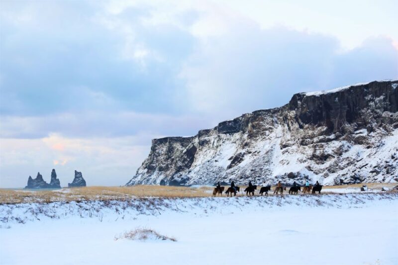 From Reykjavík: South Coast Waterfall, Black Sand & Ice tour - Additional Notes