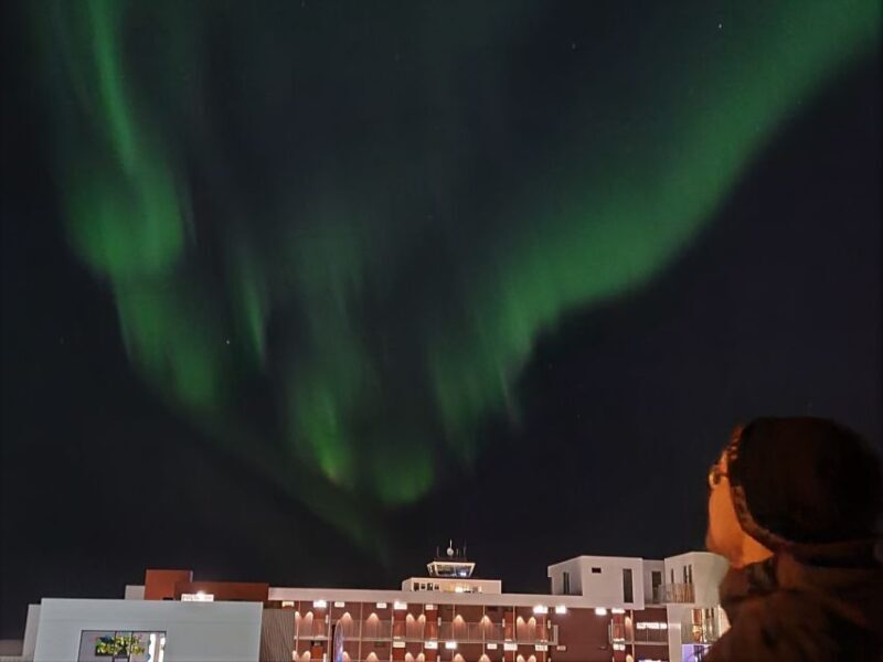From Reykjavík: Spot the Northern Lights with Snacks & Drink - Journey into the Night: What to Expect from the Tour
