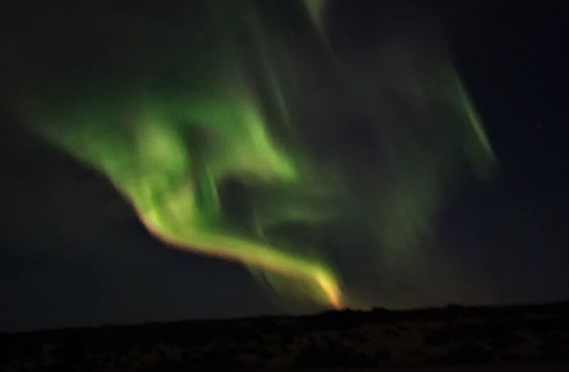 From Reykjavík: Spot the Northern Lights with Snacks & Drink - The Sum Up
