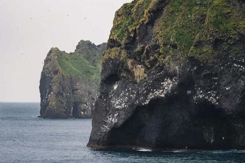 From Reykjavik: Vestmannaeyjar Islands Day Trip - Key Points