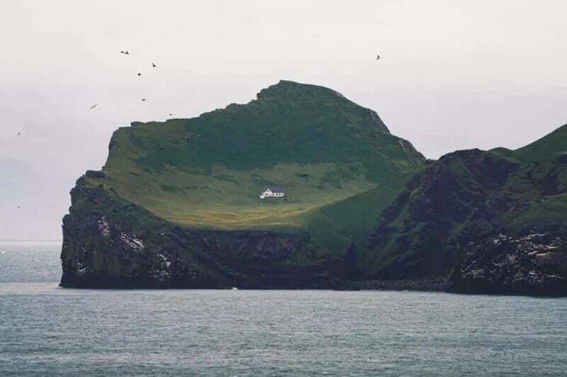 From Reykjavik: Vestmannaeyjar Islands Day Trip - Getting to Know the Vestmannaeyjar Tour
