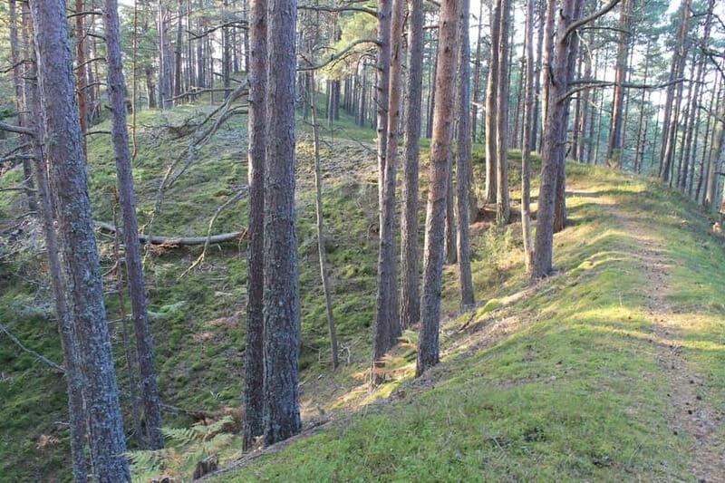 From Riga: Budget Day Trip to Kolka in Zen style! - The Highlight: Cape Kolka and the Pine Track