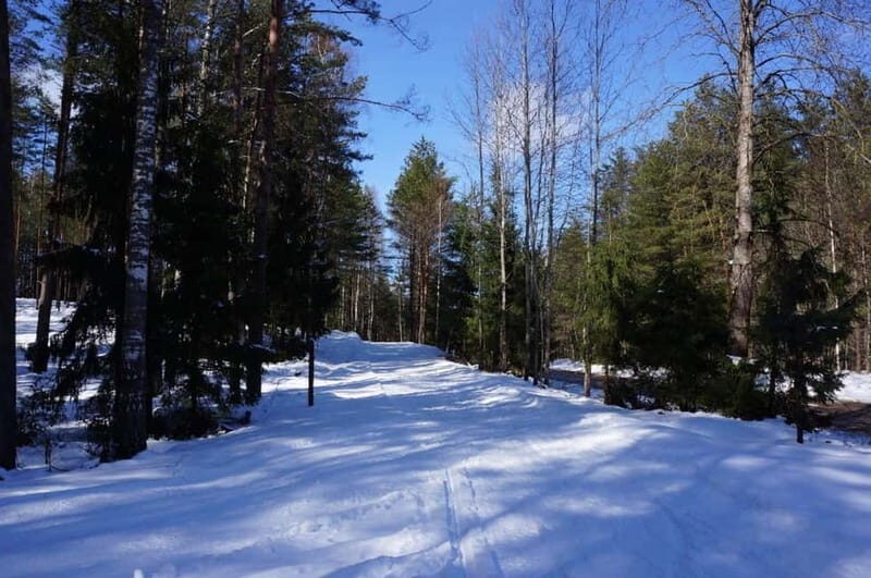 From Riga: Cross-country skiing and beating heart memorial - Practical Details and What’s Included