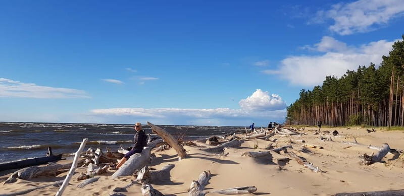 From Riga: Four Natural Ecosystems In One Hike - An In-Depth Look at the Experience
