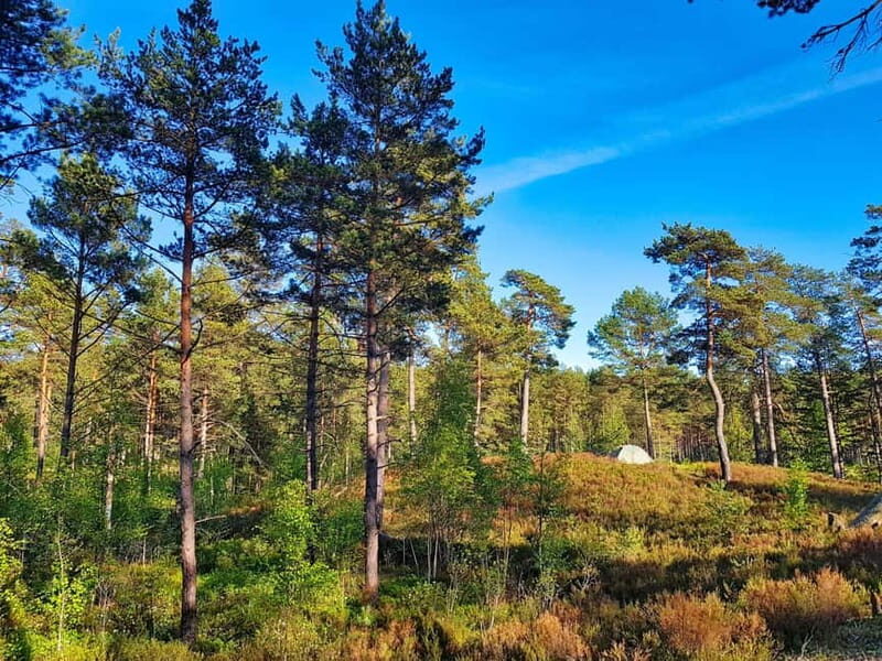 From Riga: Four Natural Ecosystems In One Hike - Final Thoughts
