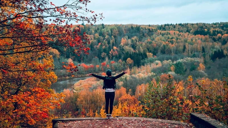 From Riga: Group Tour to Sigulda and Turaida - A Scenic Journey from Riga to Latvia’s Interior