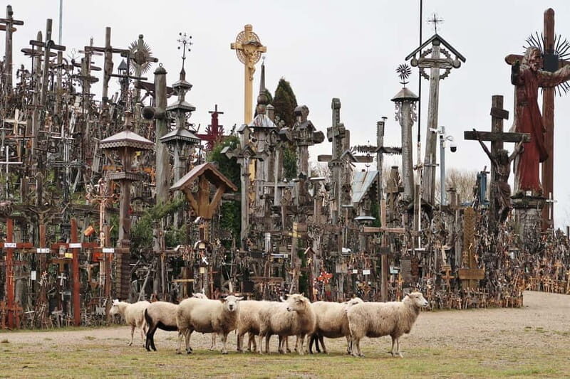 From Riga: Hill of Crosses and Jelgava Gems Tour - An Honest Breakdown of the Experience
