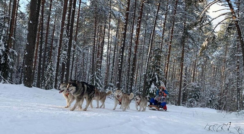 From Riga: Husky Sledding or Wheel Kart Tour - Practical Tips for Travelers