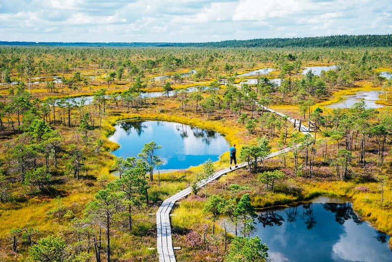 From Riga: Jurmala and Great Kemeri Private Full-Day Trip - Key Points
