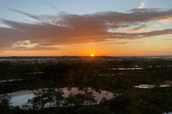 From Riga: Kemeri Bog Boardwalk and Jurmala Seaside - An In-Depth Look at the Tour Experience