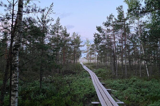 From Riga: Kemeri Bog Boardwalk and Jurmala Seaside - Is it Worth the Price?