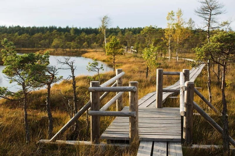From Riga: Kemeri National Park and Kuldiga Tour - An Authentic Day in Latvia’s Scenic and Historic Heart