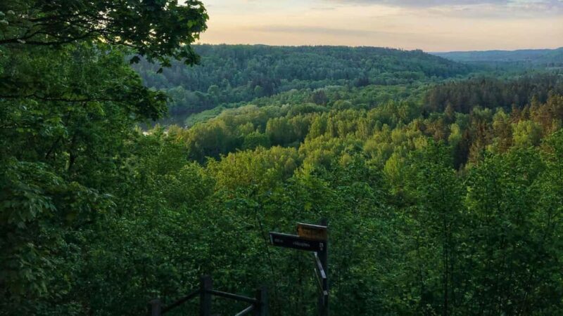 From Riga: Siguldas Top Sights & Scenic Picnic (EN/DE/ESP) - A Deep Dive into the Sigulda Day Tour Experience
