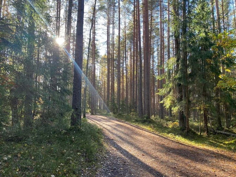 From Riga: Trip to Kemeri National Park & Jurmala - Starting Point in Riga
