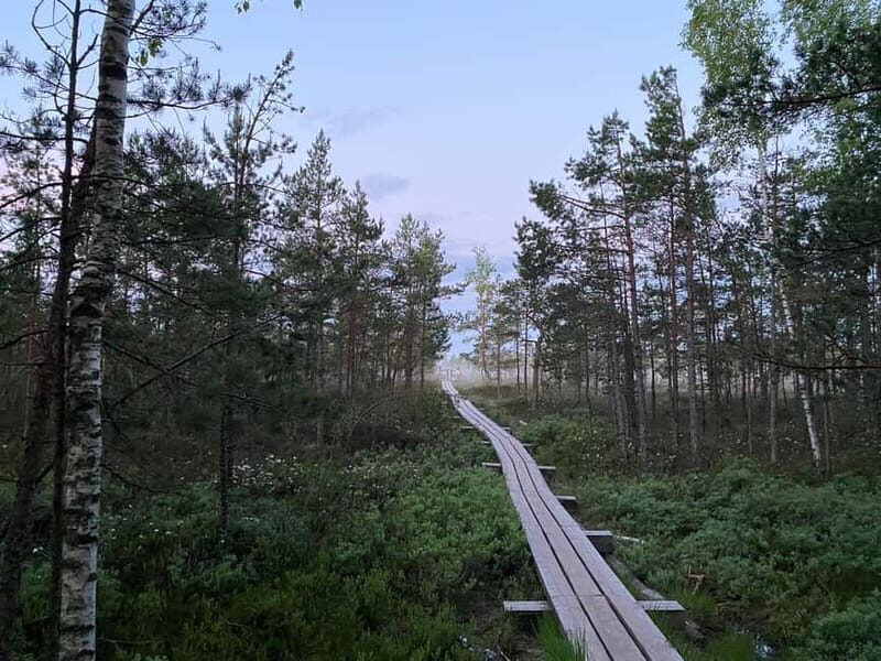 From Riga: Trip to Kemeri National Park & Jurmala - Kemeri Town and Its Mineral Water Heritage