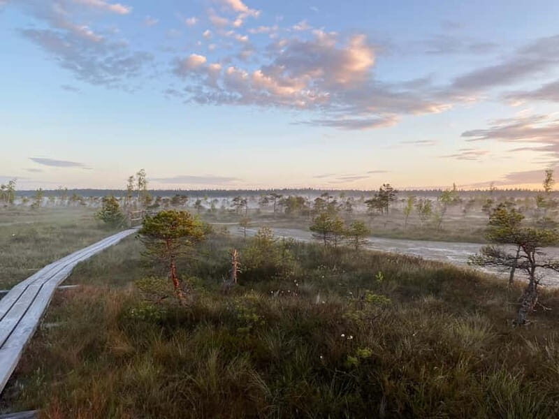From Riga: Trip to Kemeri National Park & Jurmala - Final Relaxation at Dzintari Beach