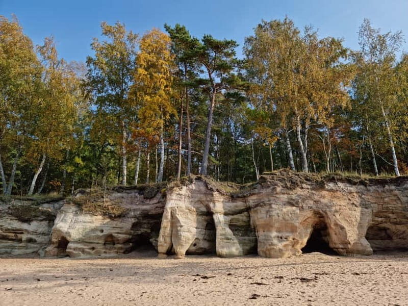 From Riga: Vidzeme Coast Half-Day Trip with Lunch - Discovering Latvias Coastal Hidden Gems: A Review of the Vidzeme Coast Half-Day Trip