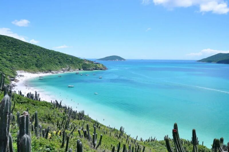 From Rio de Janeiro: Arraial do Cabo Island Day Trip - The Value of This Experience
