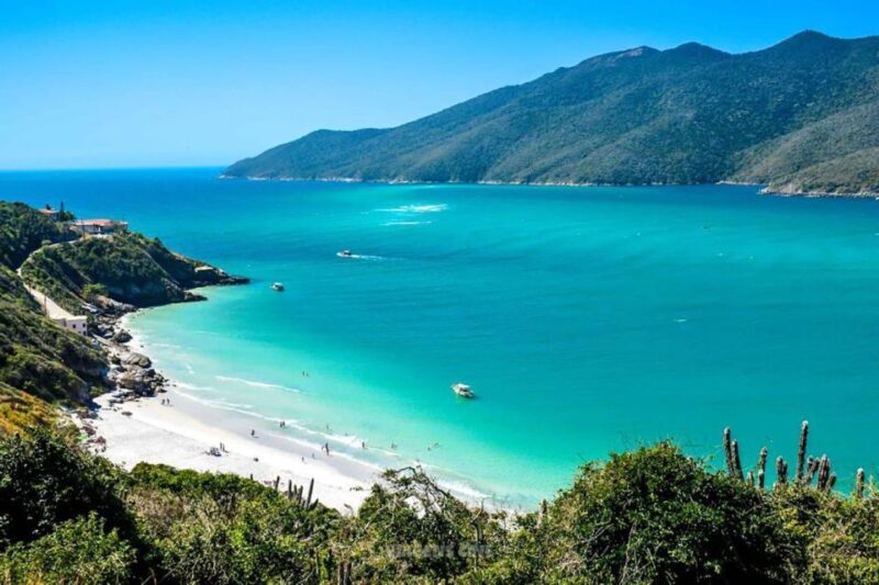 From Rio de Janeiro: Arraial do Cabo Island Day Trip - Who Will Love This Tour