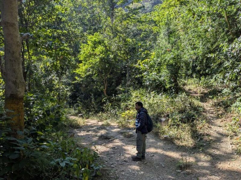 From Rishikesh: Offbeat Day Hike and Vashishta Cave Visit - The Itinerary in Detail