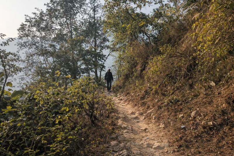 From Rishikesh: Offbeat Day Hike and Vashishta Cave Visit - Authenticity and Experience
