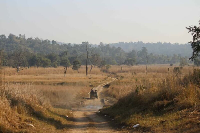 From Rishikesh: Rajaji National Park Half-Day Tour - Who Should Consider This Tour?