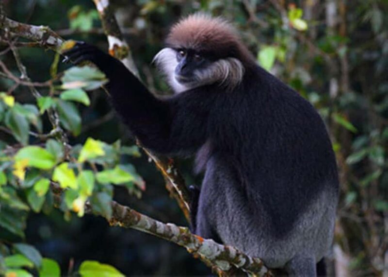 From Riu Hotel: Udawalawe National Park Private Day Trip - Key Points