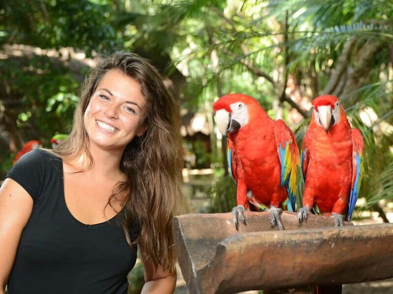 From Riviera Maya: Complete Combo to Xcaret Park! - Exploring the Heart of Xcaret: What Travelers Can Expect