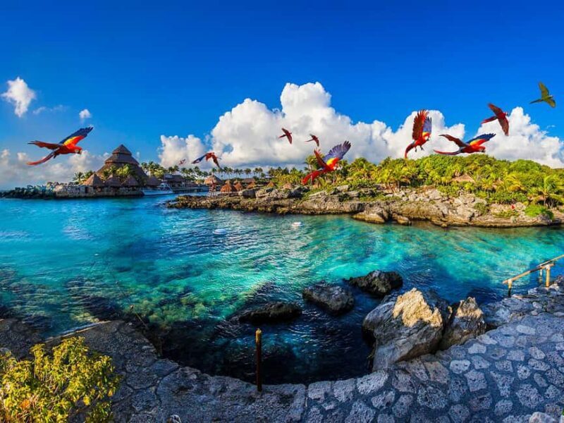 From Riviera Maya: Complete Combo to Xcaret Park! - Exploring the Experience at Xcaret