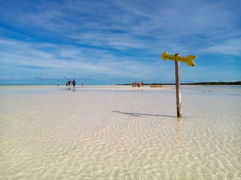 From Riviera Maya: Holbox Full-Day Tour with Lunch - An In-Depth Look at the Tour